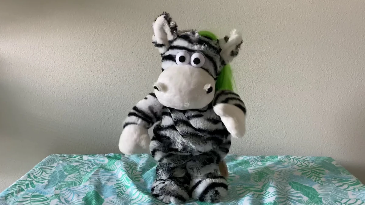 Dancing Zebra | DanDee Wiki | Fandom