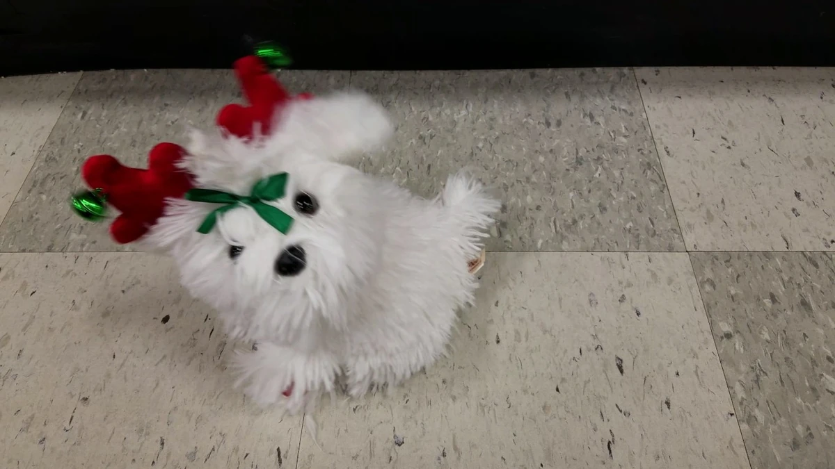 Roll Over Ruff Dog - Christmas | DanDee Wiki | Fandom