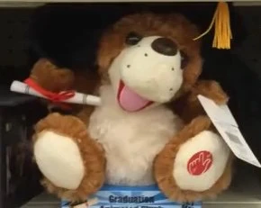 Ear Flapping Graduation Dog | DanDee Wiki | Fandom