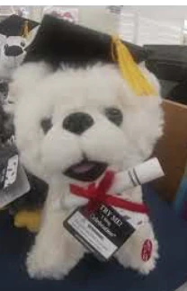 Shaking Pomeranian Dog | DanDee Wiki | Fandom