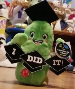 Graduation cactus Wobbler | DanDee Wiki | Fandom
