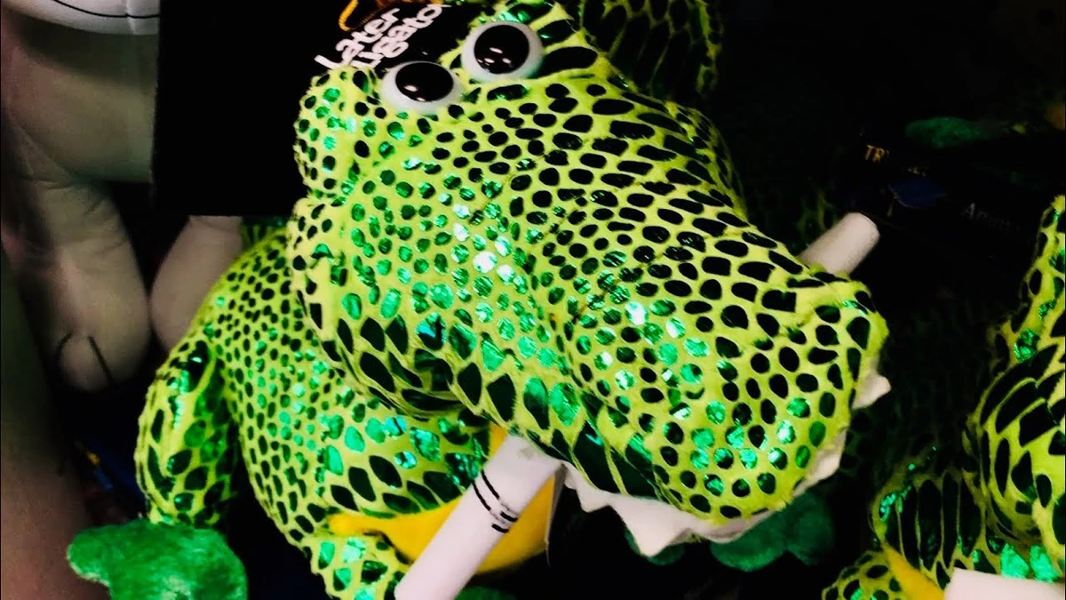 Graduation Gator | DanDee Wiki | Fandom