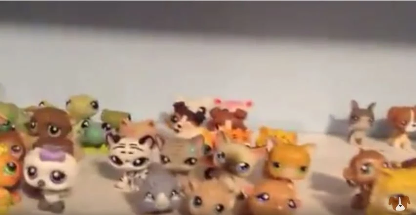 My LPS Collection As Of 2016 (121 LPS) | Dandpv2 Wiki | Fandom