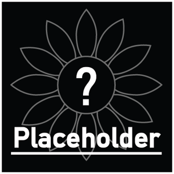 Randy | Dandy's Rooms Wiki | Fandom