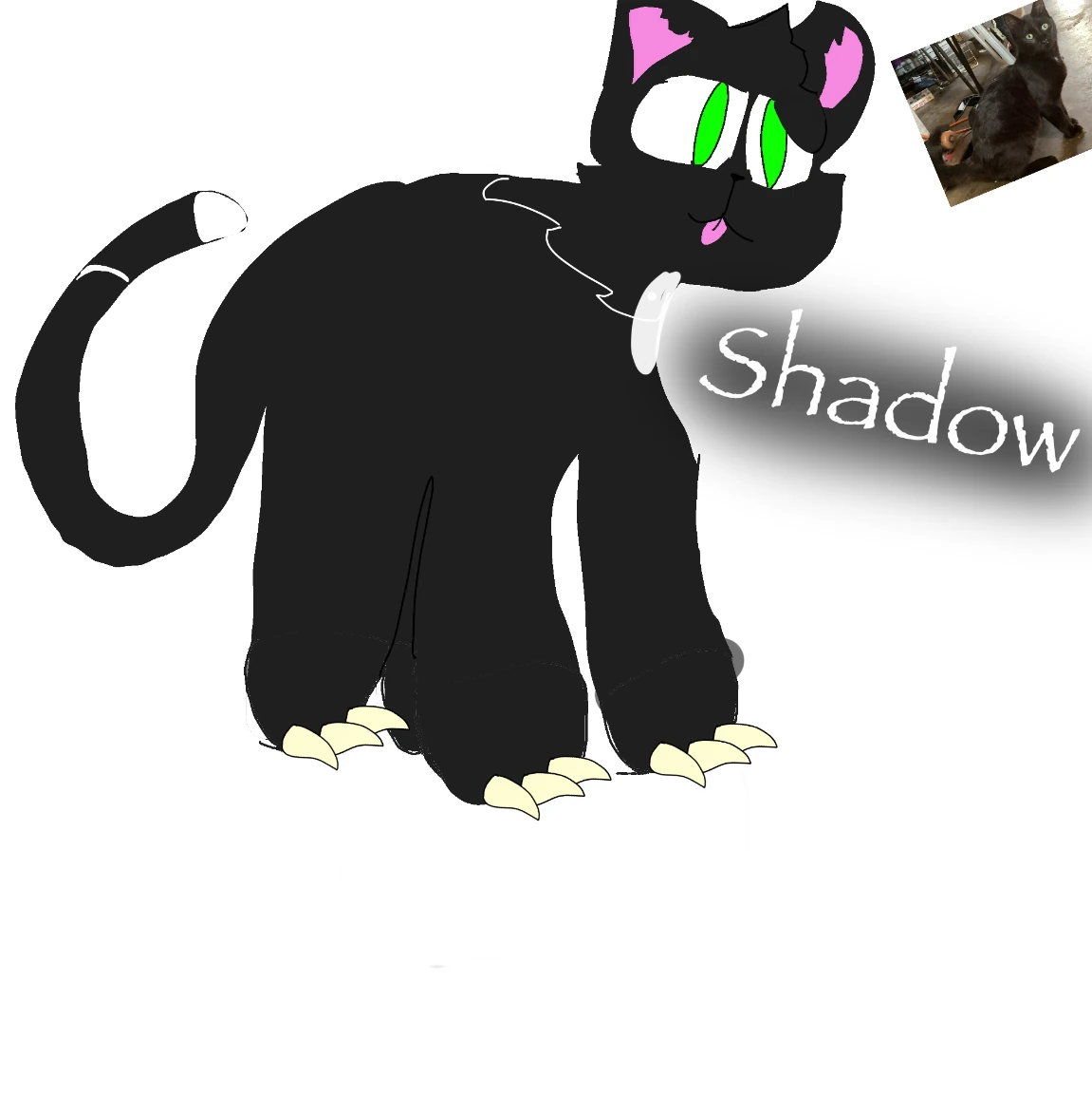 Shadow | Dandy’s World Fanon Wiki | Fandom