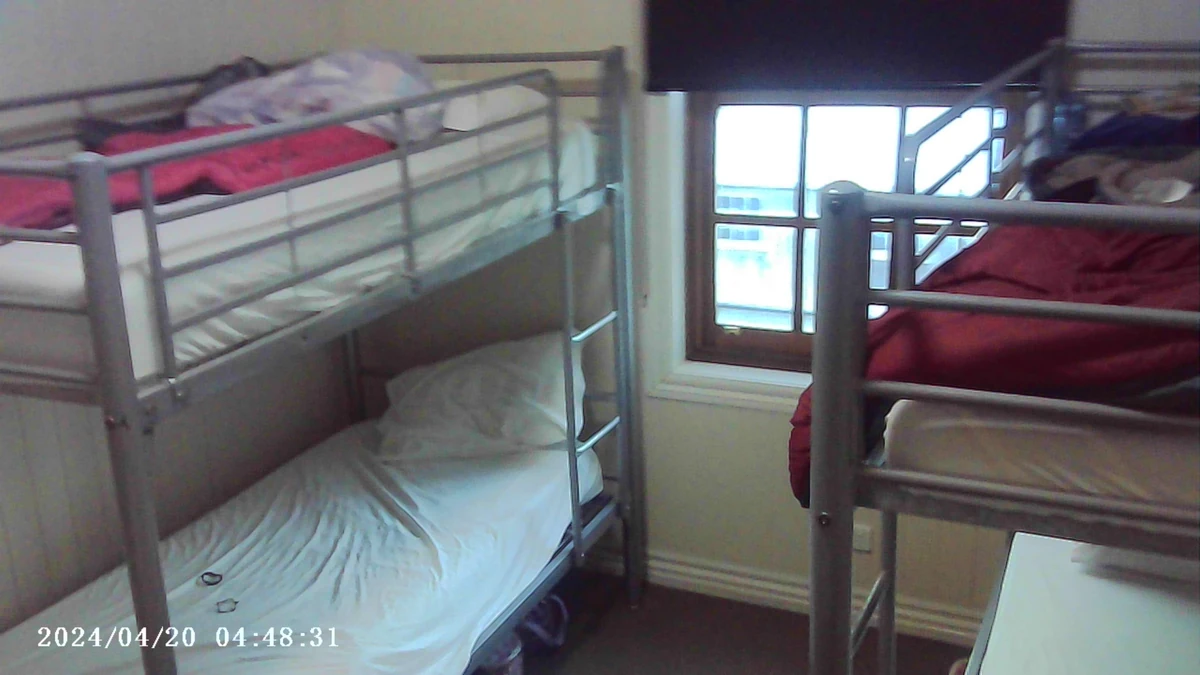 User blog:B4TTL3-F0R-D4NDY-1SL4ND/I’m back | Dandy's World Wiki | Fandom