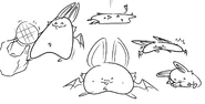 Blushy Bat | Dandy's World Wiki | Fandom