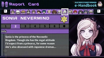 Nevermind Gift