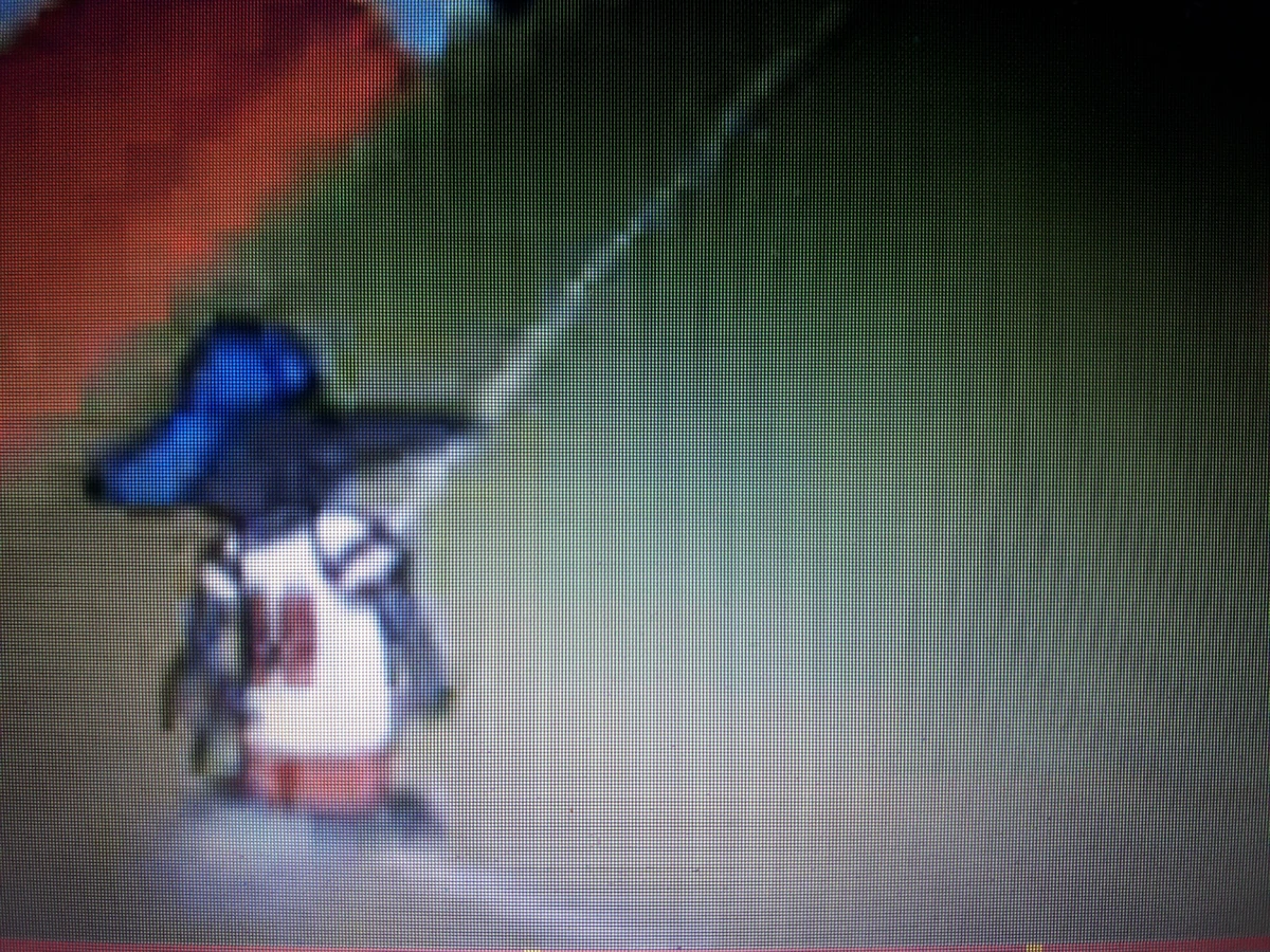 Baseball Blackbird | Danger Rangers Wiki | Fandom