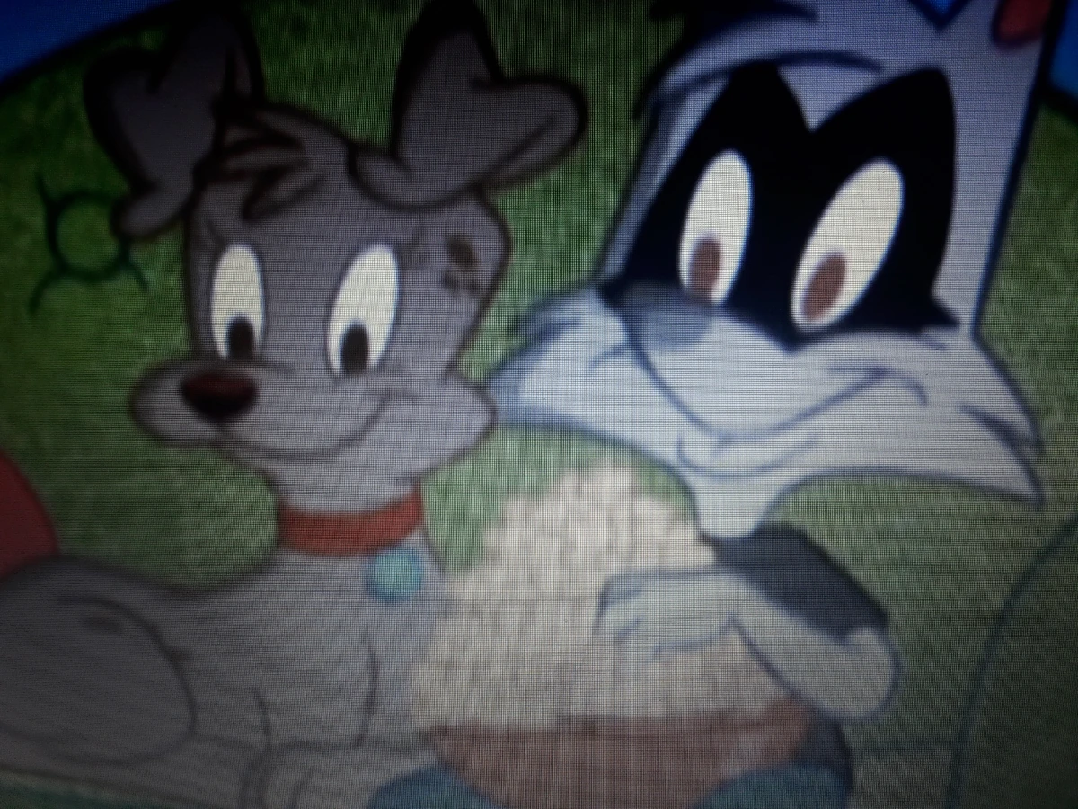 Raccoon Boy's Dog | Danger Rangers Wiki | Fandom