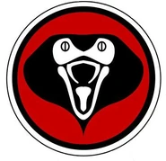 Kobra Kid | Danger Days Wiki | Fandom