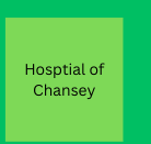 Hospital of Chansey | Daniel's Adventures Wiki | Fandom