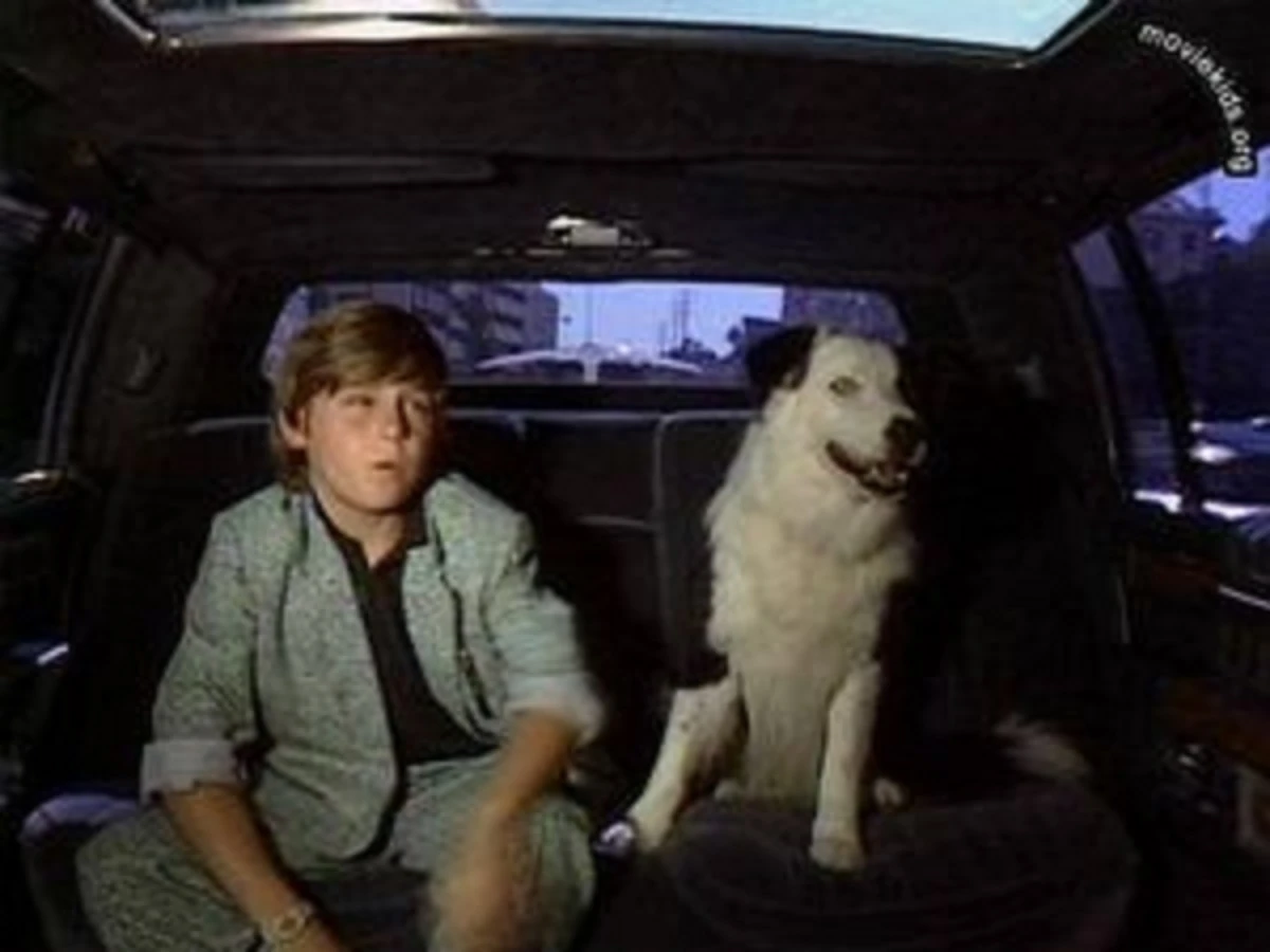 Chris Finch | Daniels kidsongs kids Wiki | Fandom