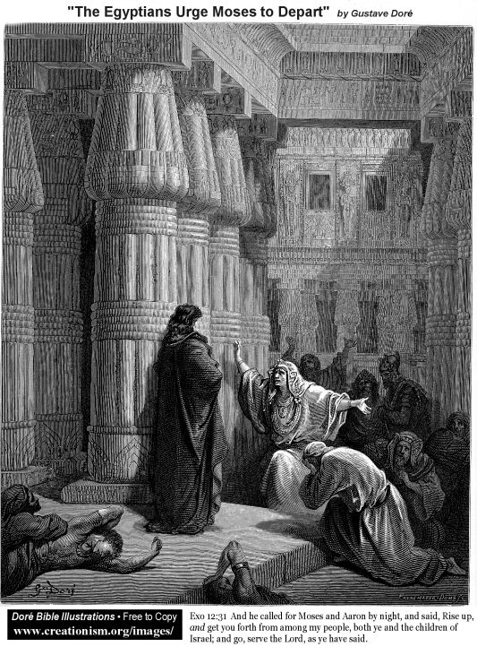 Gustave Dore | Family Wiki | Fandom