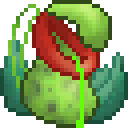 Aha's Pitcher Plant | Dank Memer Wiki | Fandom