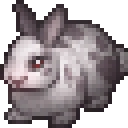 Rabbit | Dank Memer Wiki | Fandom