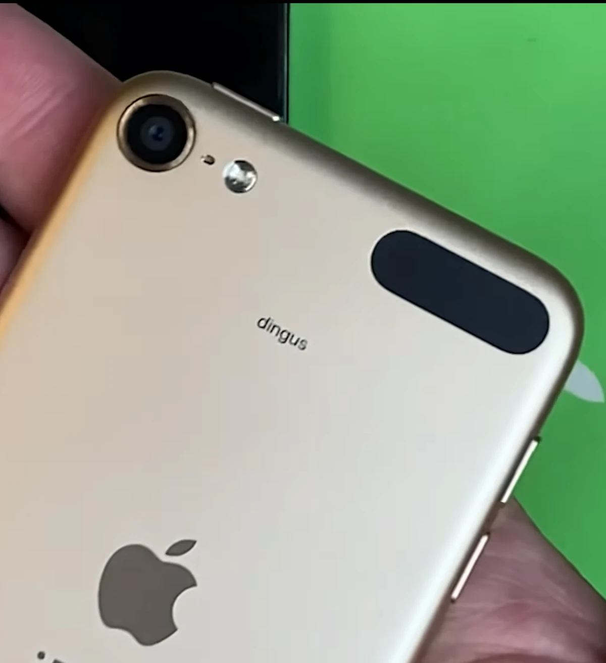 Dingus | Dankpods Wiki | Fandom