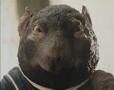 The Seafarer | Cosgrove Hall Wiki | Fandom