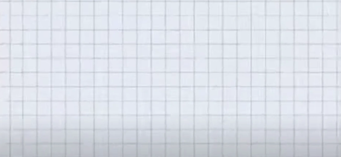 The Graph Paper | DannoCal Wiki | Fandom