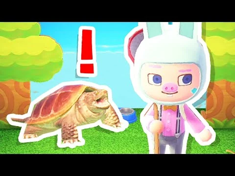 I Got a PET TURTLE in Animal Crossing! | DanTDM Wiki | Fandom
