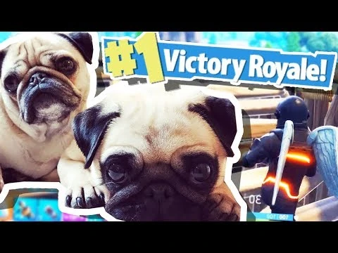 PUGS SABOTAGE FORTNITE VICTORY ROYALE!!! | DanTDM Wiki | Fandom