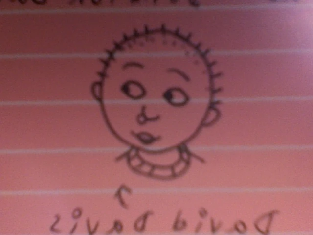 David Davis | Daphne's Diary of Daily Disasters Wiki | Fandom