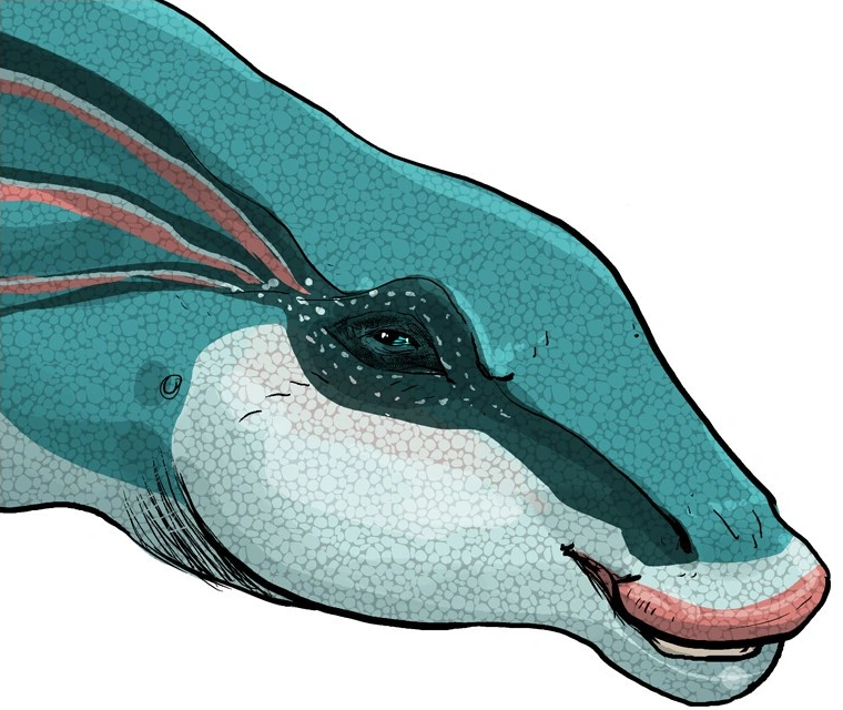 Phaylah/Image Gallery | Darbi Wiki | Fandom