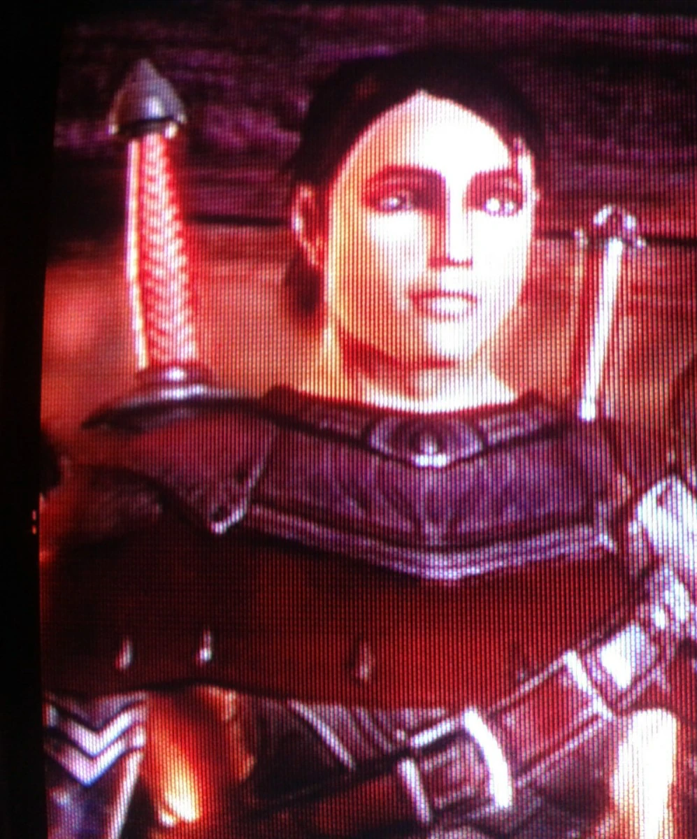 Aedan Cousland | Dragon Age: The Reckoning Wiki | Fandom