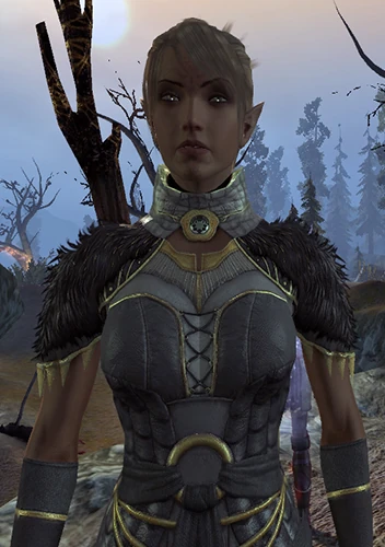 Velanna | Dragon Age: The Reckoning Wiki | Fandom