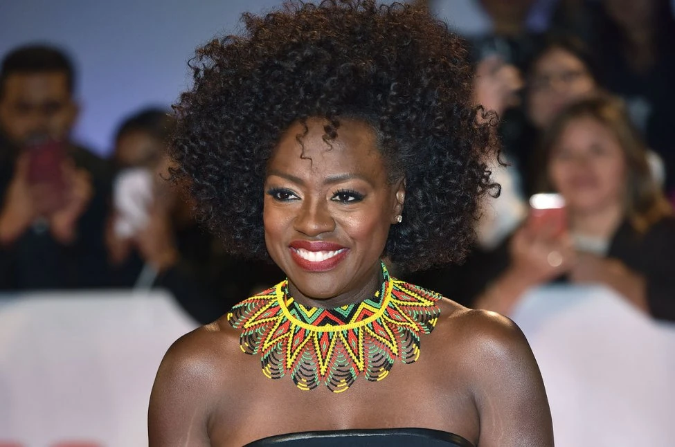 Viola Davis | Darian's DC Extended Universe Wiki | Fandom