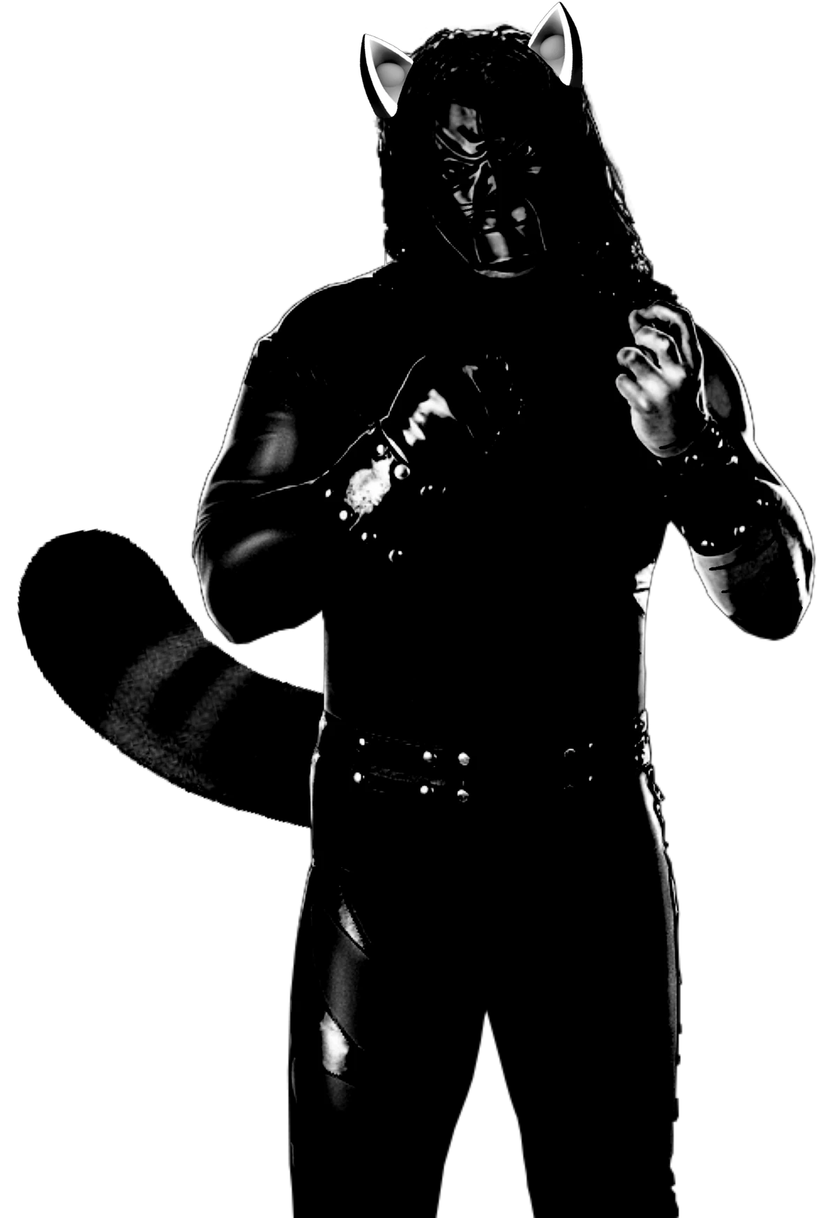 Bomber Cat Kane | Dark Empire of Destruction Wiki | Fandom