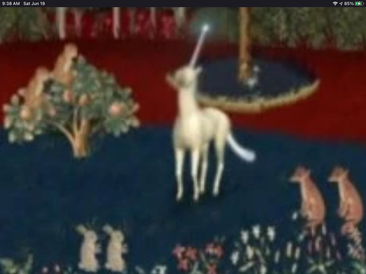 Unicorn | Dark Magic Wiki | Fandom
