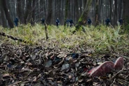 Winden Forest | Dark Wiki | Fandom