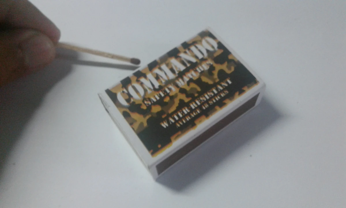 User blog:TFCBelloni140/Bad Omen... | Dark Parables Wiki | Fandom