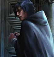 Disappearing Cloak | Dark Parables Wiki | Fandom