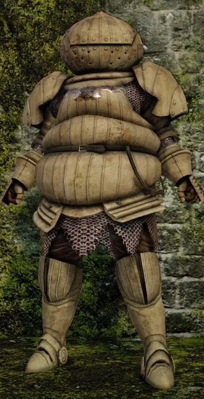 The Sieg Knights of Catarina | Dark Soul Simply DND Wiki | Fandom