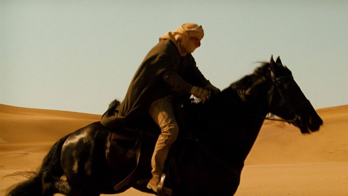 Horses | Dark Universe Wiki | Fandom Horses | Dark Universe Wiki | Fandom