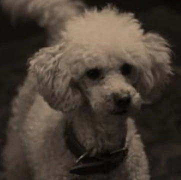 Gretchen | Dark Wiki | Fandom