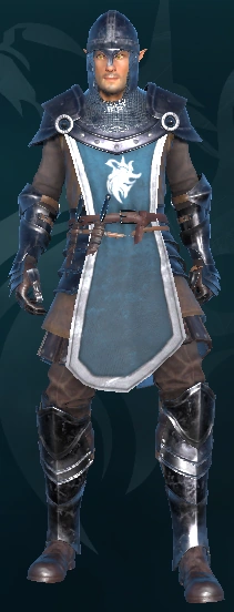 Guard Armor - Dark and Light Wiki