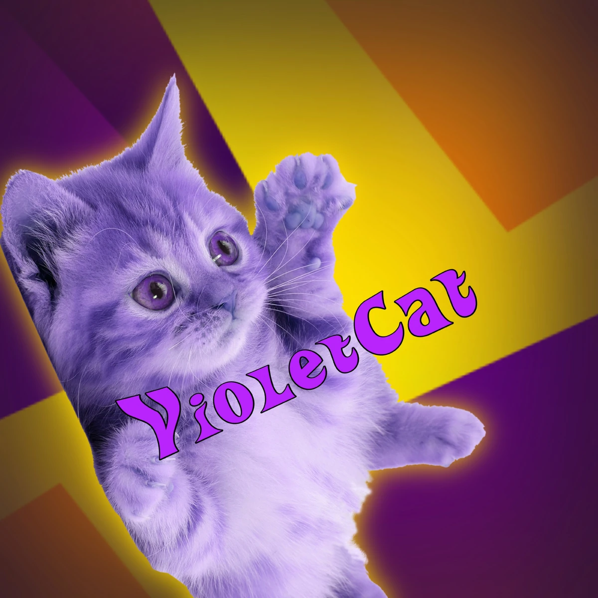 VioletCat | Darkchao13 Wiki | Fandom
