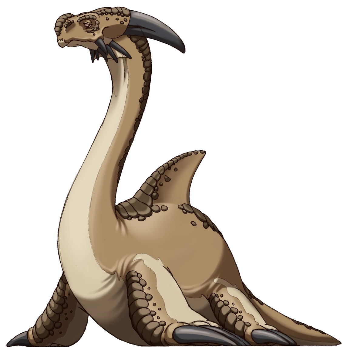 Elder Shigura | Dark Cloud Wiki | Fandom