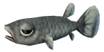 Fish | Dark Cloud Wiki | Fandom