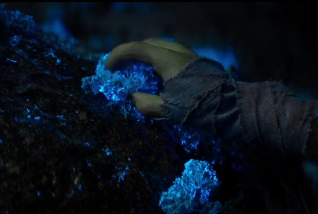 Glow Moss | The Dark Crystal Wiki | Fandom