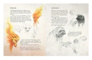 The Dark Crystal Bestiary: The Definitive Guide to the Creatures of ...