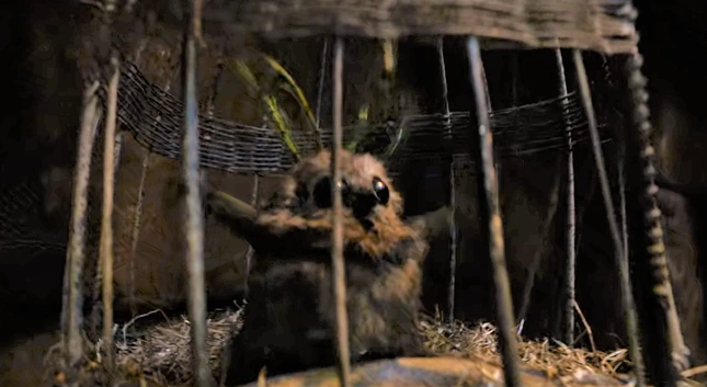 Pimlin | The Dark Crystal Wiki | Fandom