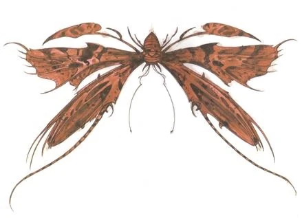 Unamoth | The Dark Crystal Wiki | Fandom