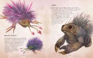 The Dark Crystal Bestiary: The Definitive Guide to the Creatures of ...