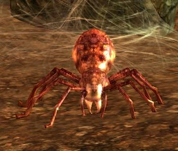Doom Spider | Darkfall Wiki | Fandom