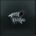 Dragon Armor Guantlets | Darkfall Wiki | Fandom