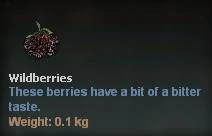 Wildberries | Darkfall Wiki | Fandom